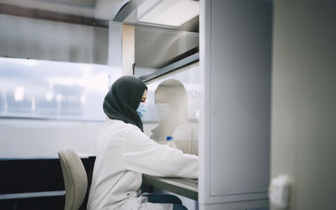 Here to help: HCPC standards update | Biomedical Scientist