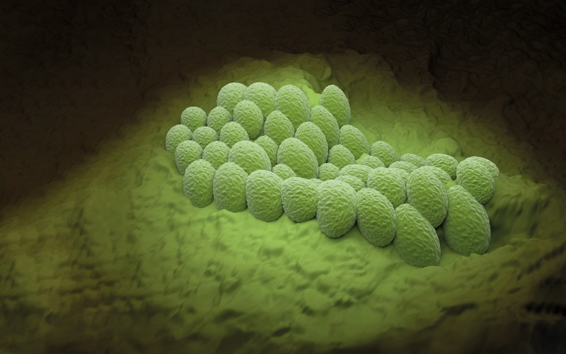 Detecting womb cancer with a simple swab | Biomedical Scientist