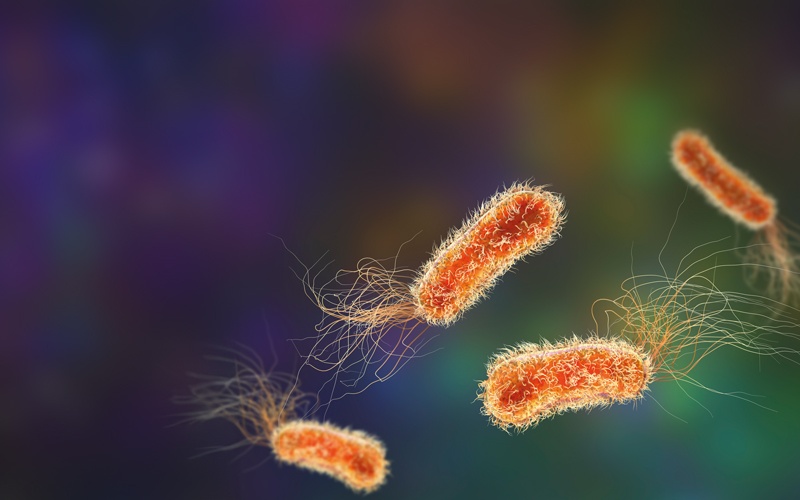 Tackling priority pathogen with phages | Biomedical Scientist