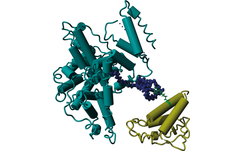 Tech round up: July 2024 | Biomedical Scientist