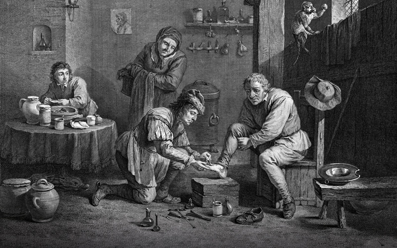 The big story: the fly and the ointment | Biomedical Scientist