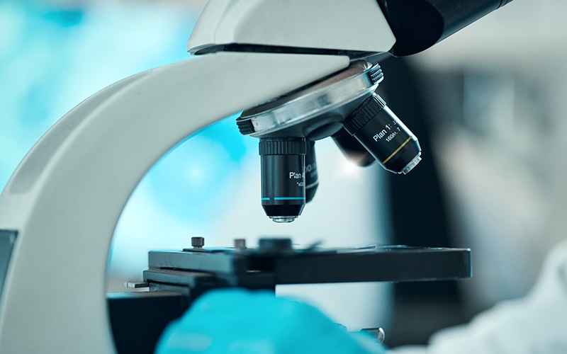 Under the microscope: arteriviruses | Biomedical Scientist