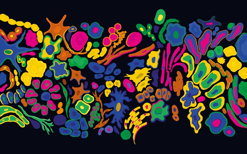 The human cell atlas | Biomedical Scientist