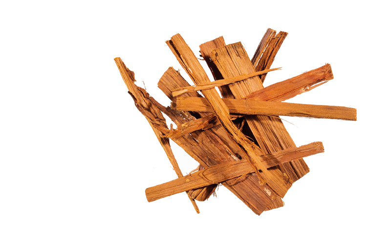 Mother nature's medicine chest | Biomedical Scientist