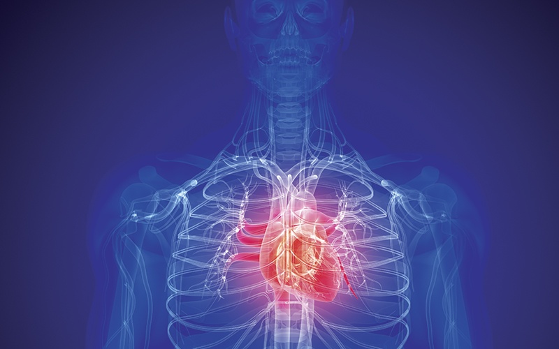 "Injections cut heart attack risk" | Biomedical Scientist