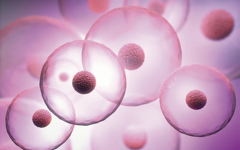 Scientists create biodegradable scaffold | Biomedical Scientist