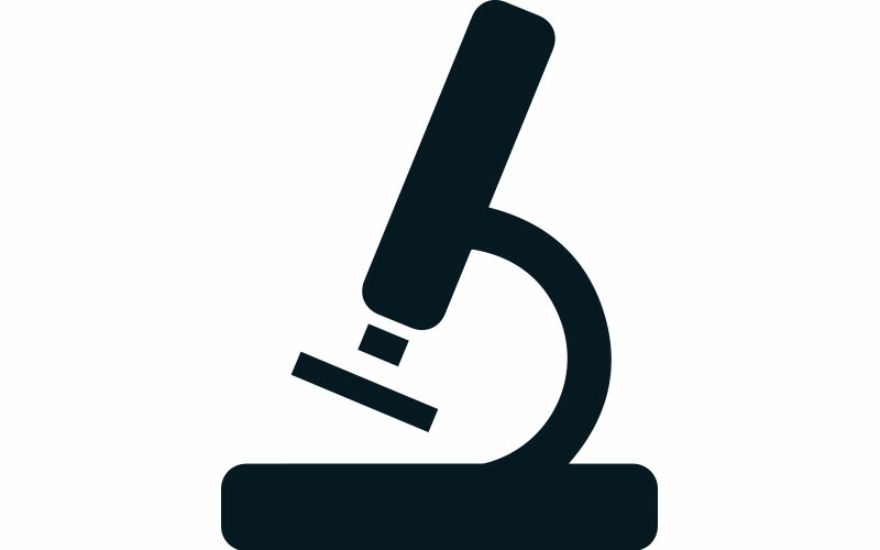 Under the microscope: The G protein-coupled estrogen receptor ...