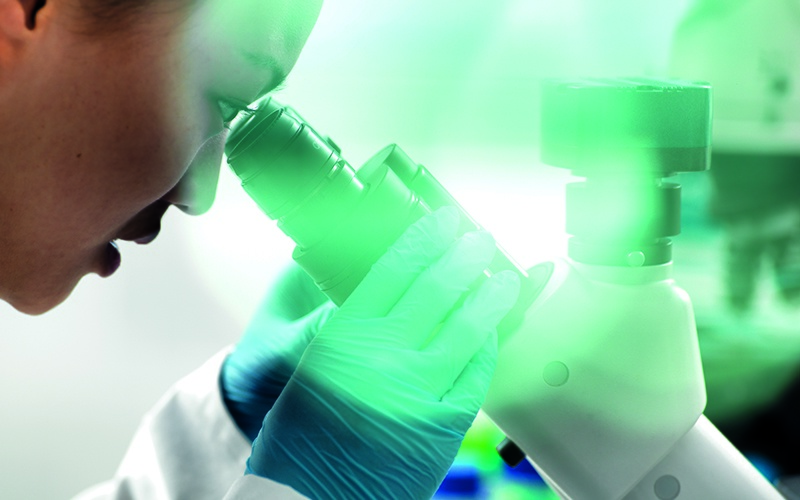 Supporting biomedical research | Biomedical Scientist