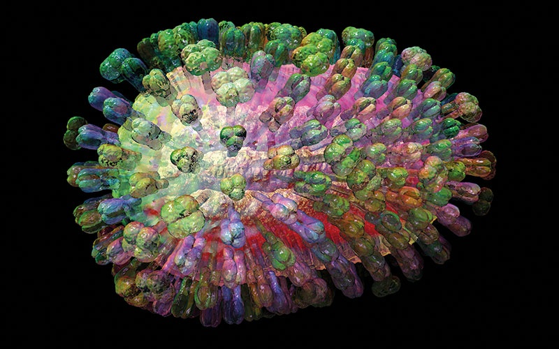 Flu and cardiac complications | Biomedical Scientist