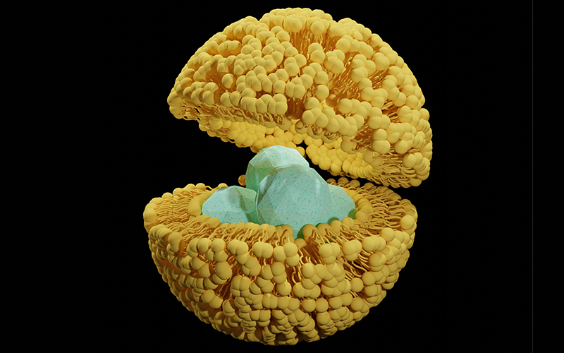 Under the microscope: Nanoencapsulation | Biomedical Scientist