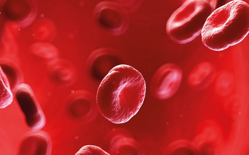 Laboratory grown blood | Biomedical Scientist