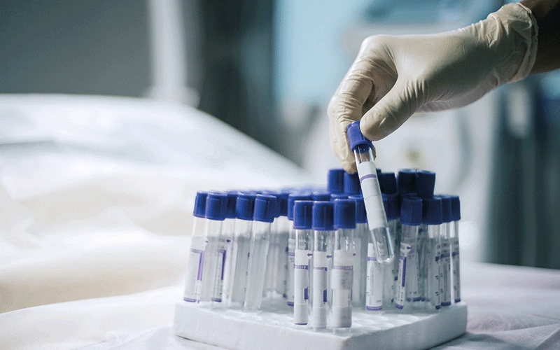 Laboratory processes and procedures | Biomedical Scientist