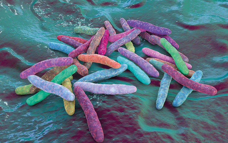 Novel device for diagnosing tuberculosis | Biomedical Scientist